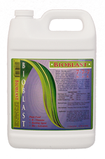 Why Bioblast - Plumeria by Florida Colors Nursery